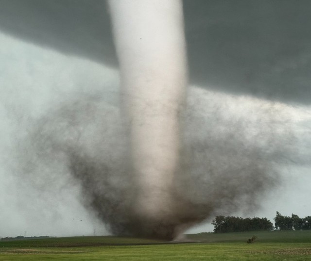 Caçadores de tempestades ficam noivos diante de tornado