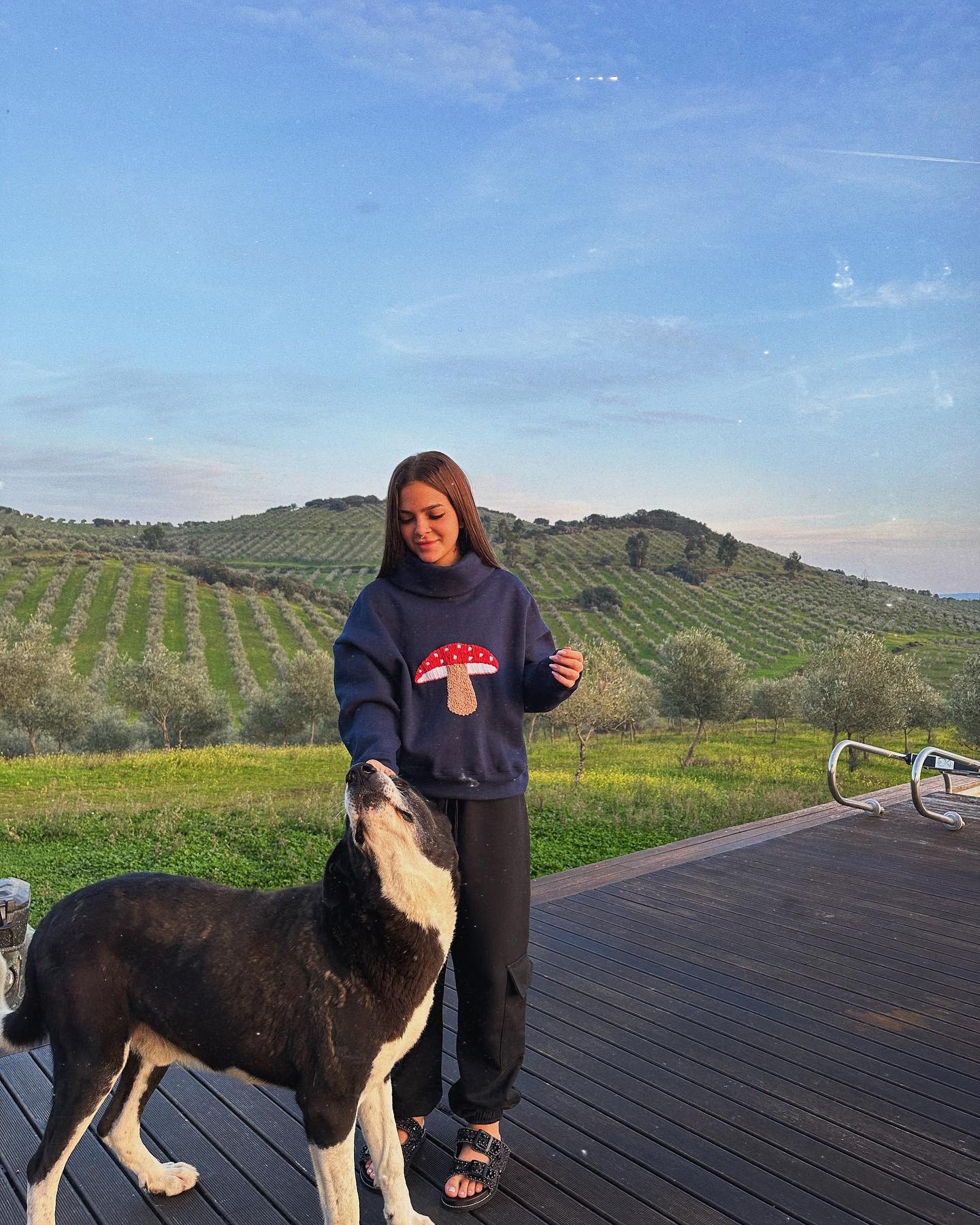 Triângulo amoroso: jovem galã tem revival com Jade Picon enquanto ...