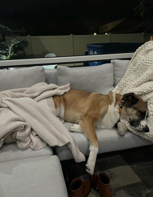 Marta recebe família da namorada para primeiro churrasco em nova mansão ...