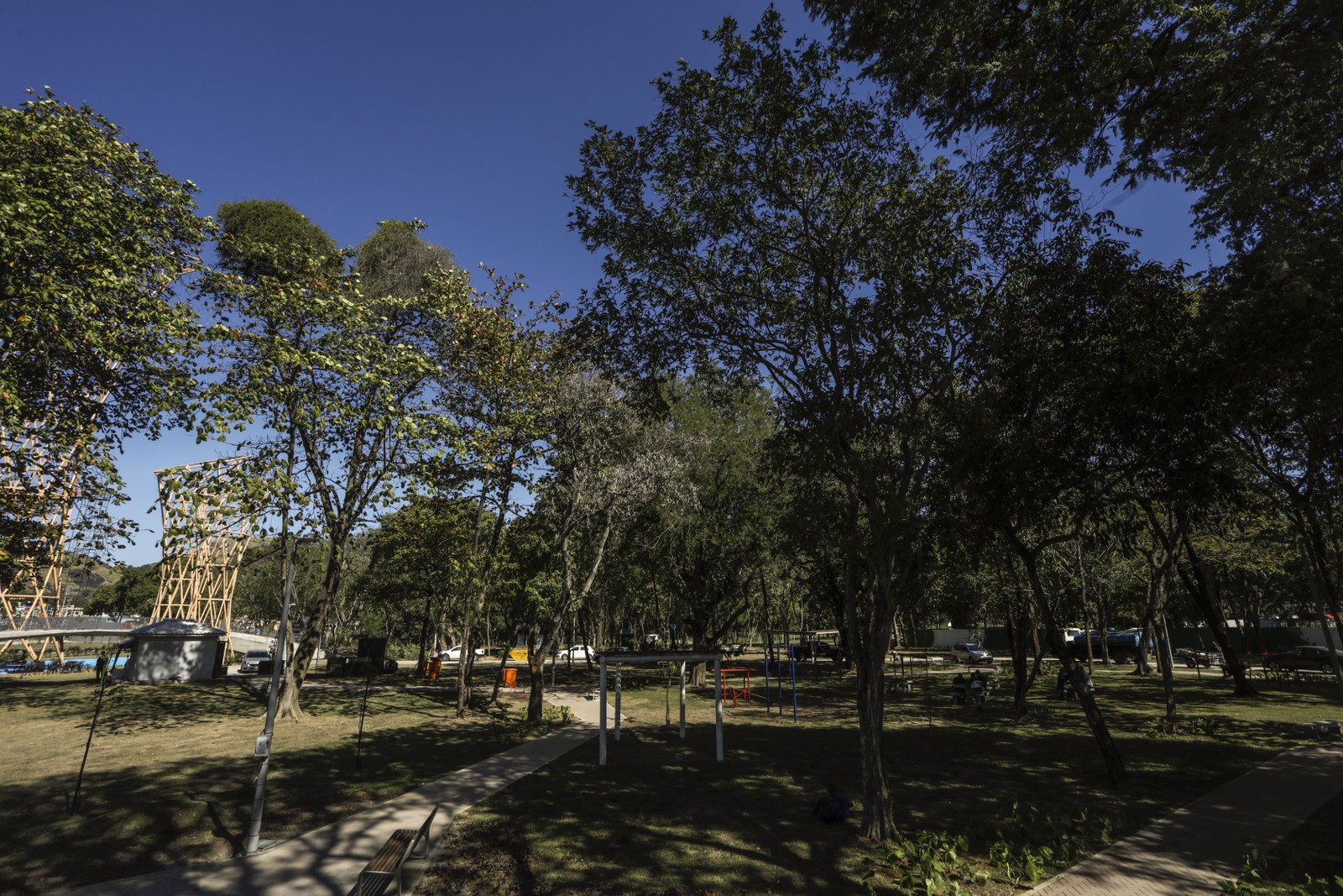 Parque Realengo Susana Naspolini: plantio de 3,7 mil árvores e ...
