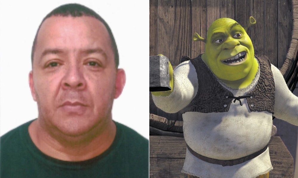 De Shrek a Zé Colmeia: candidatos do Rio têm apelidos inspirados em ...