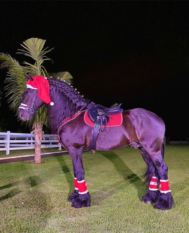 R$ 100 milhões por ano, Rolex de R$ 150 mil, fazenda, Ferrari... Como Jon Vlogs ficou milionário ...