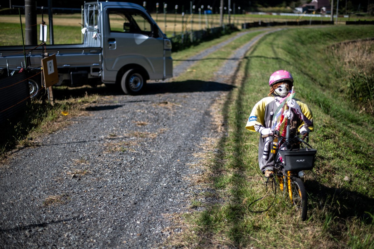 Ichinono: conheça a remota cidade japonesa com uma criança e bonecos em ...