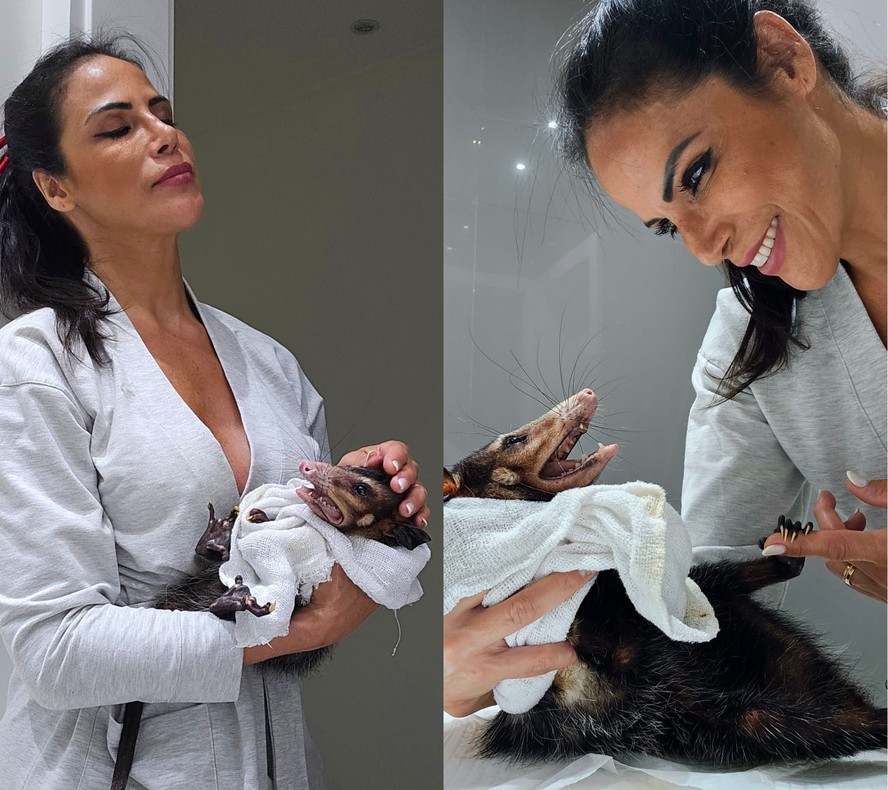 Rainha da Estácio de Sá, Alice Alves se emociona ao devolver à natureza ...