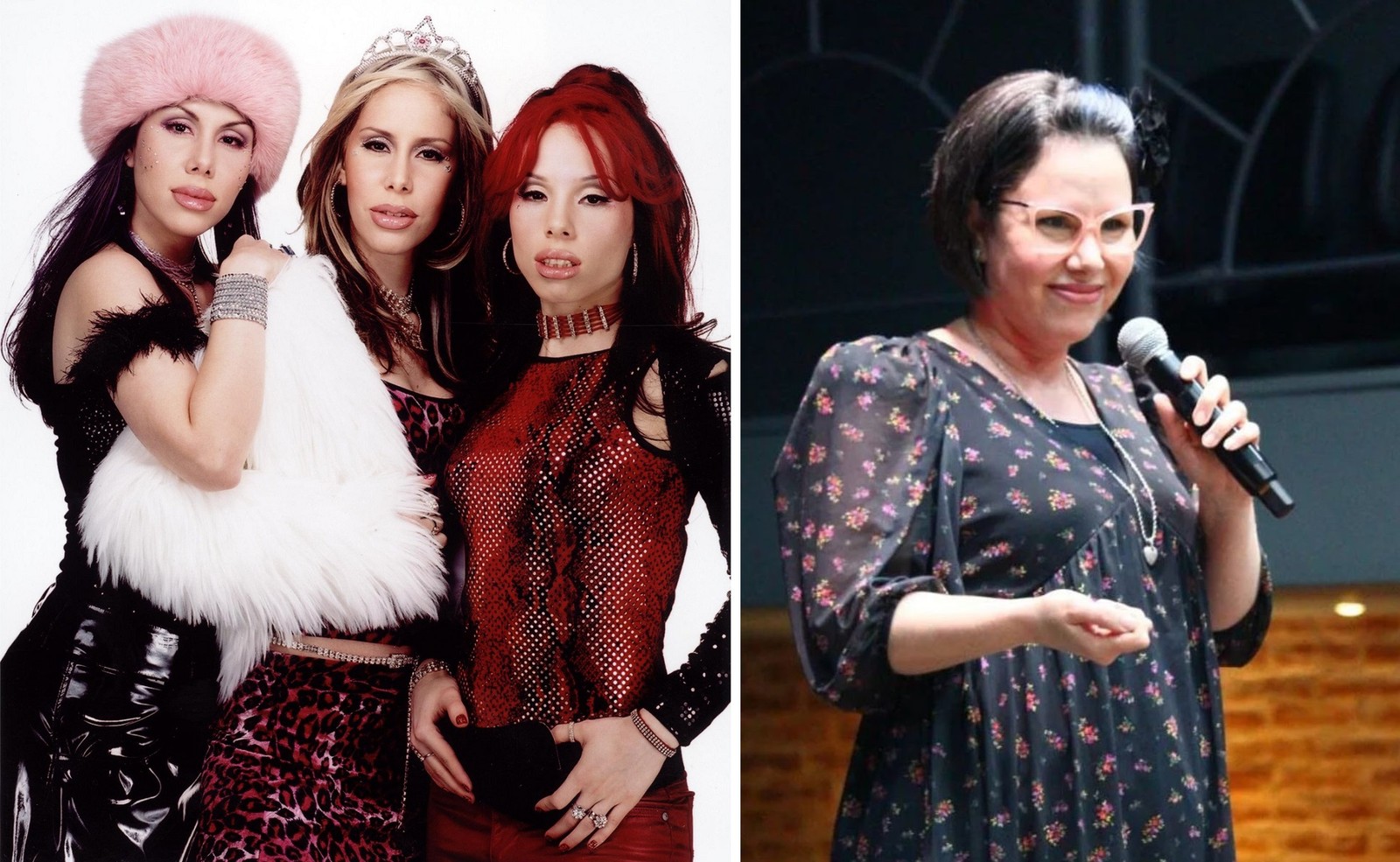 Suzana Alves, Joana Prado, Ângela Bismarchi e mais famosas abandonaram ...