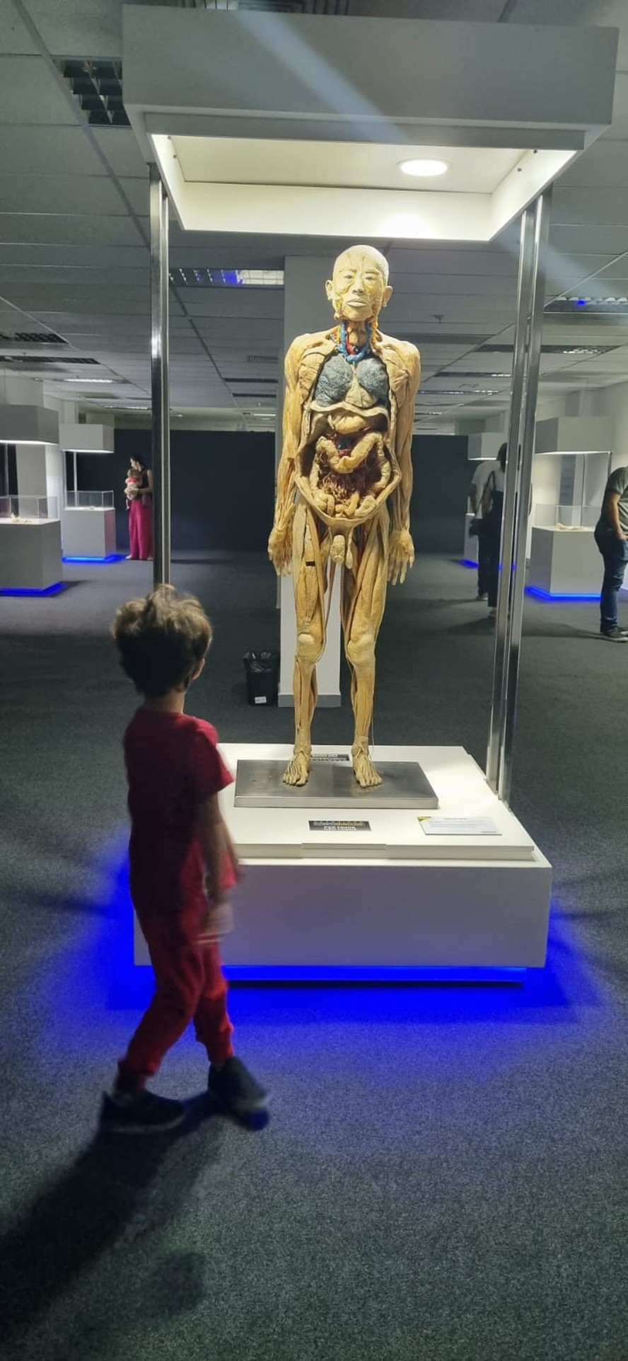 Exposição internacional 'Corpo Humano' desembarca no Rio de Janeiro ...