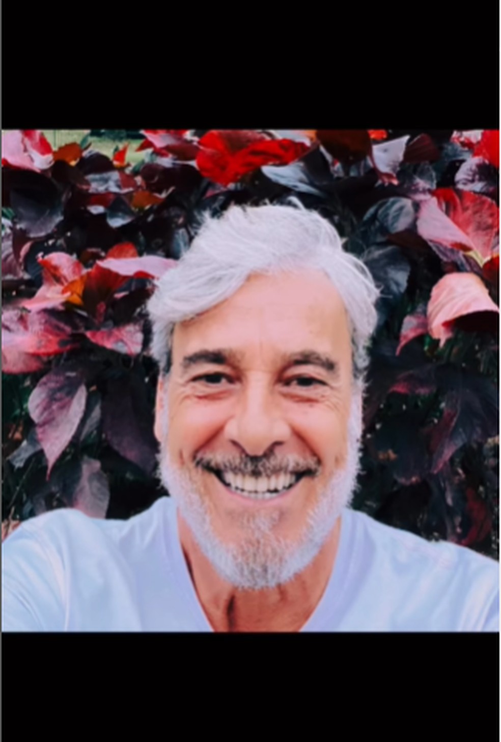 Perfil de Alexandre Borges viraliza e internautas brincam: 'Várias ...