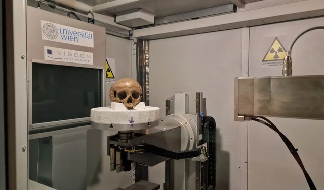 Mistério sobre crânio que se pensava ser de meia-irmã de Cleópatra é ...