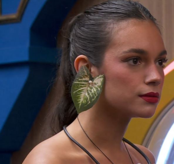 Agência de talentos demonstra interesse nos brothers do 'BBB24 ...