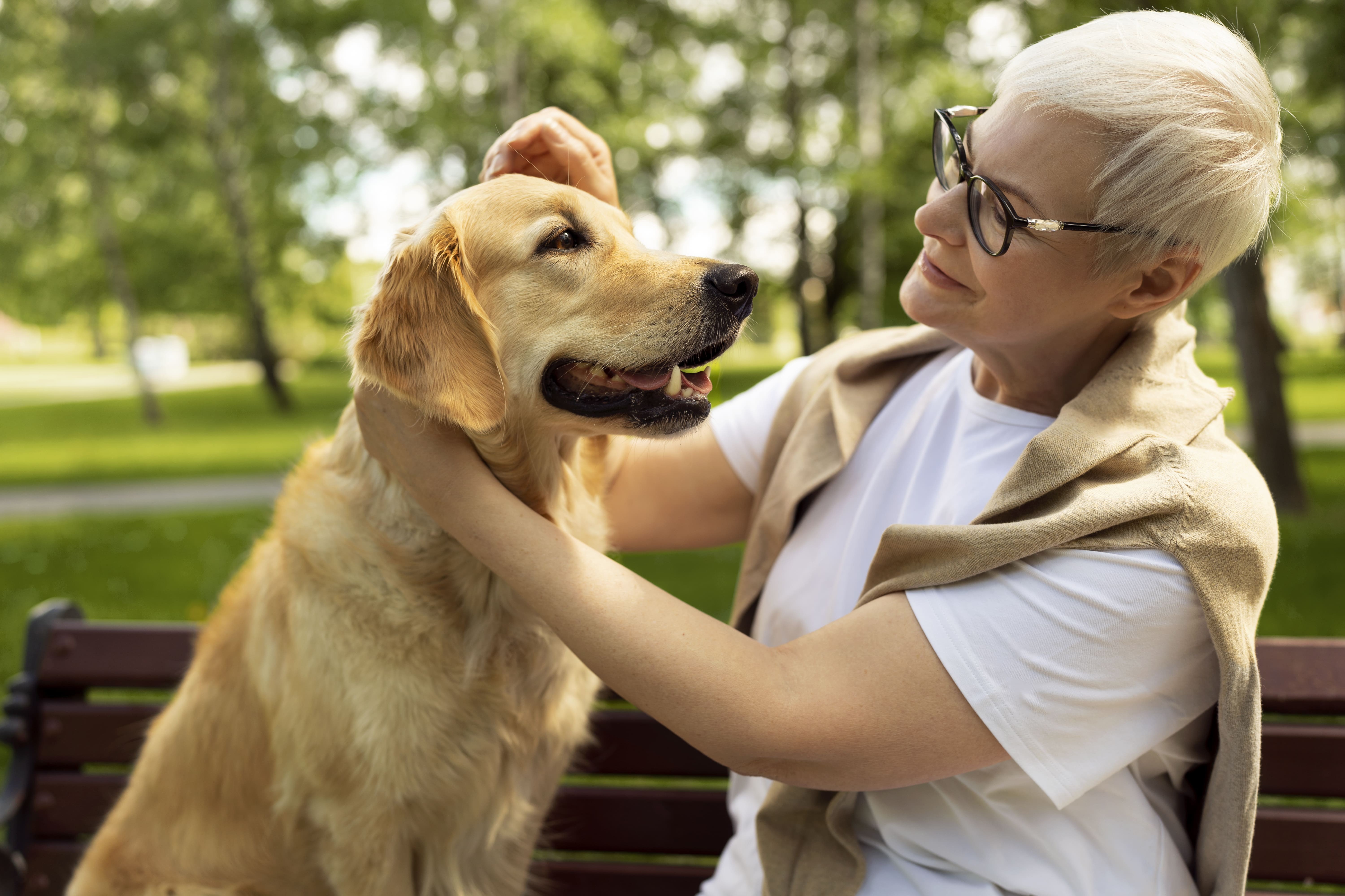 Ciência explica por que os cachorros nos amam — e por que amamos eles