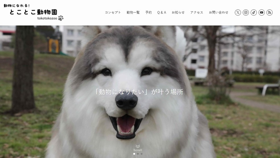 Homem que 'vive como cão' abre zoo para adeptos do fetiche